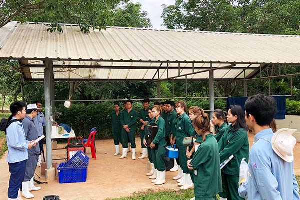 ซีพีเอฟ ซ้อมเข้มแผนป้องกัน ASF พร้อมให้ความรู้เกษตรกร - TheReporterAsia